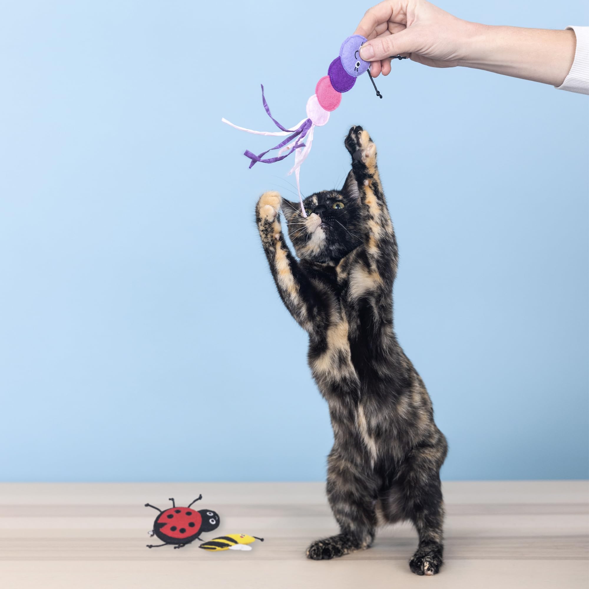 Fringe Living the Bug Life cat toy set of 3 – Decker's Dog + Cat