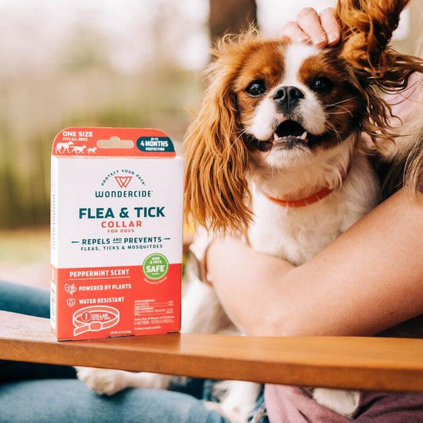 Wondercide Flea & Tick Collar for Dogs – Decker's Dog + Cat