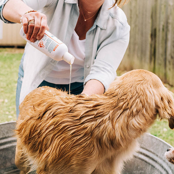 Wondercide Flea & Tick Shampoo for Dogs + Cats – Decker's Dog + Cat