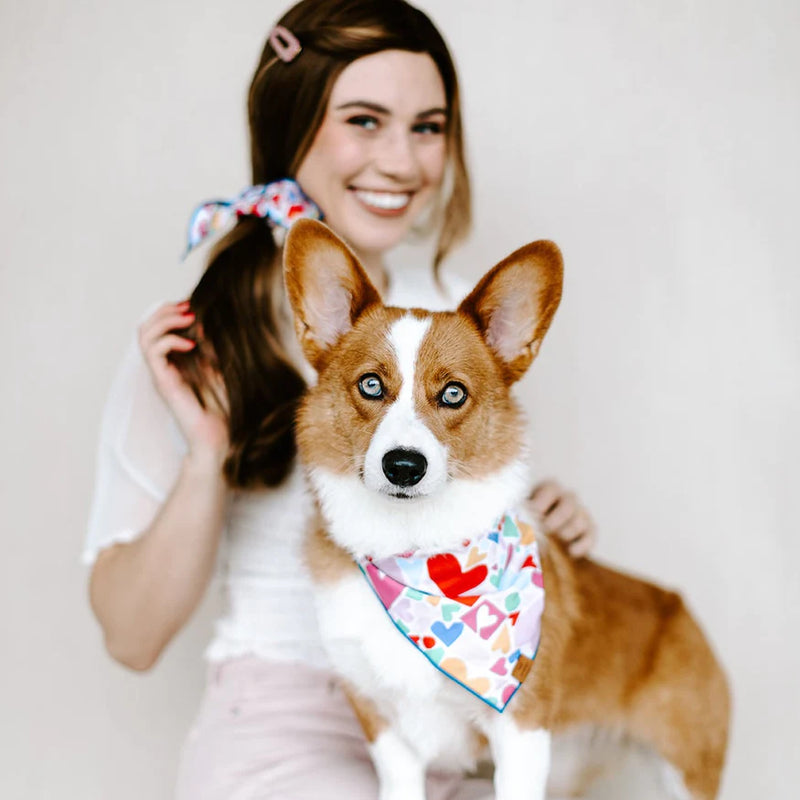 The Foggy Dog Bandana - Heart to Heart – Decker's Dog + Cat